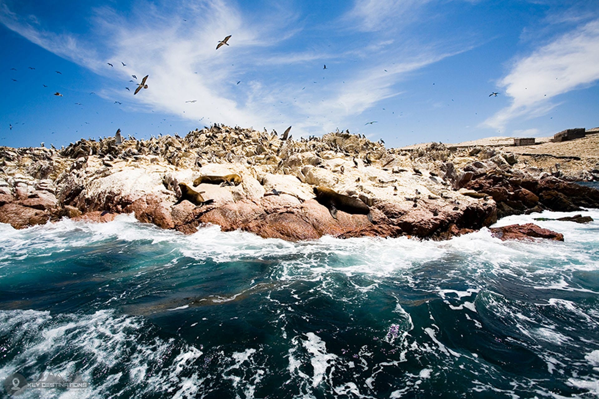 Ica Pisco: Paracas National Reserve & Ballestas Islands 2D/1N ...